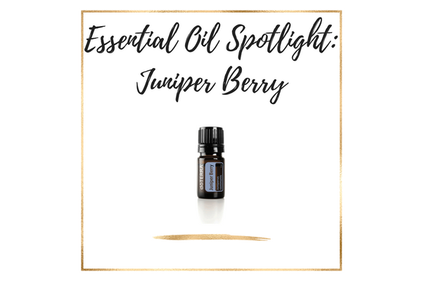doTERRA Juniper Berry | Essential Oils | Holistic Health | doTERRA Oils