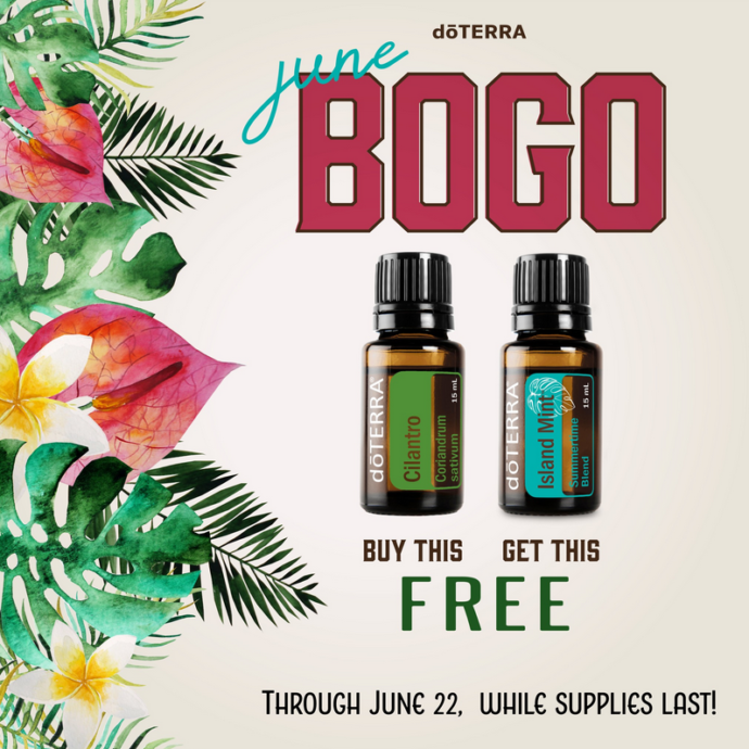 The doTERRA BOGO Box | Reija Eden - Certified Essential Oil Coach